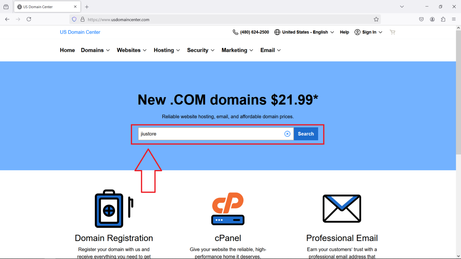 10分钟从域名注册到发布全球 (11年品牌) | 用 US Domain Center 和 WordPress 搭建任何类型的网站