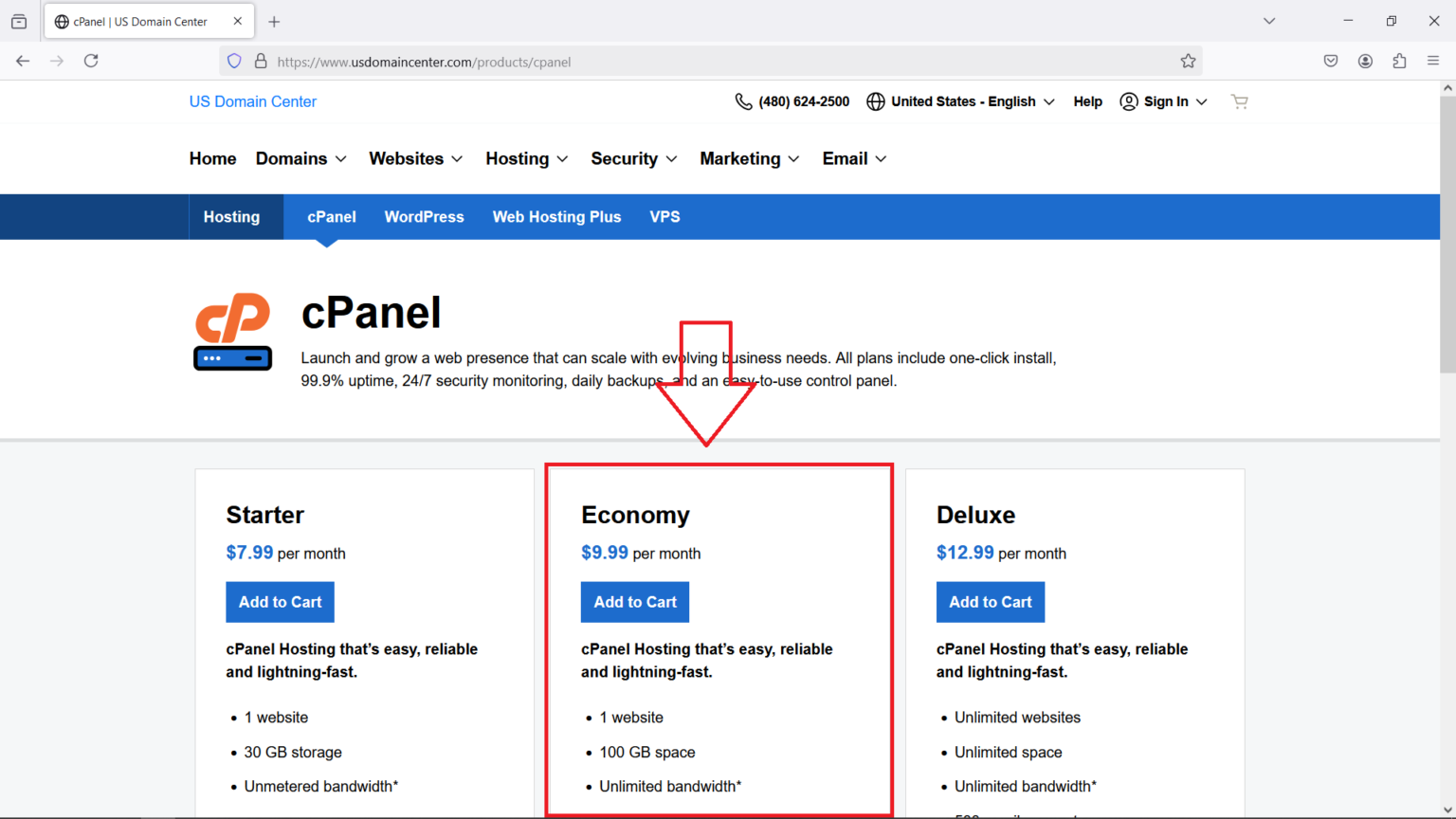 你可以使用 US Domain Center 和 WordPress 搭建哪些类型的网站?